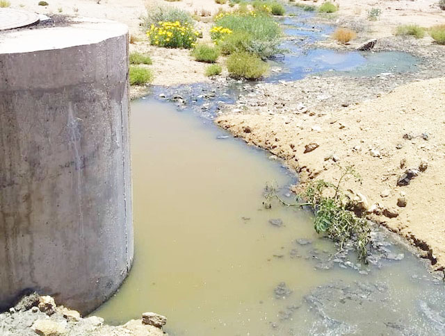 A Windhoek Service Delivery Disaster - The Namibian