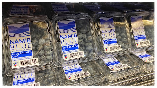'Namib Blue' soon to set sail - The Namibian