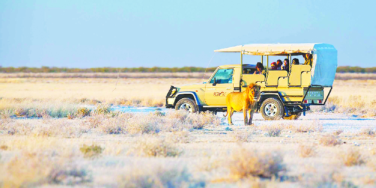 Namibia gets international acclaim for conservation efforts - The Namibian