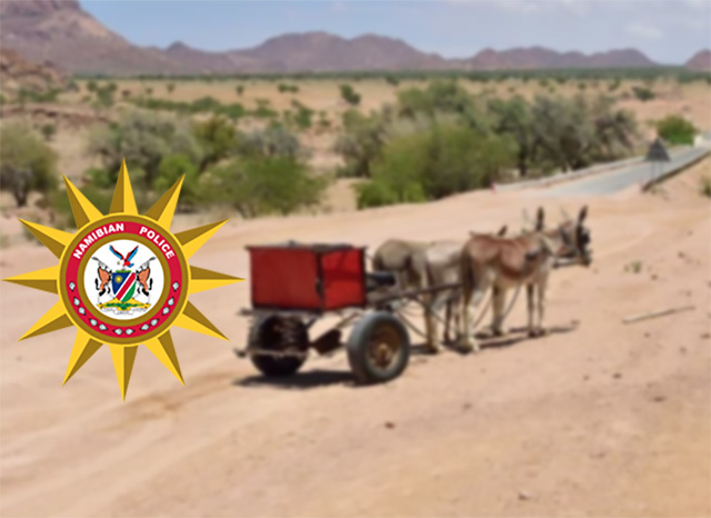Child dies after donkey cart falls on her - The Namibian