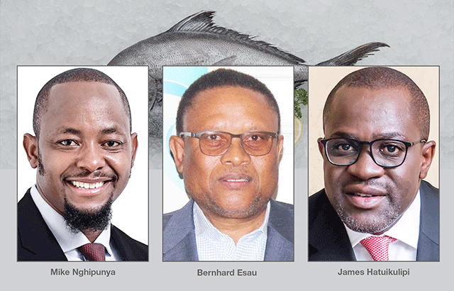 Esau spoon-feeds Fishcor - The Namibian