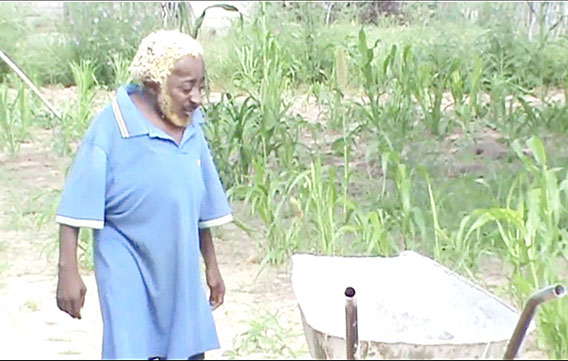 Fimbiko's 'Oka Ngungumani' - The Namibian