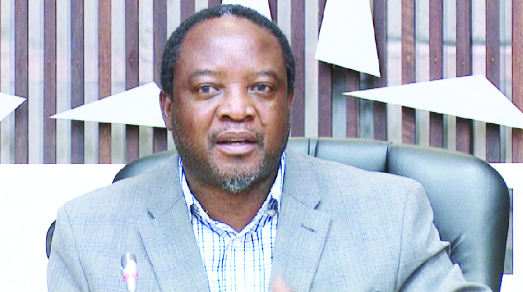 CEO recruitment divides city - The Namibian