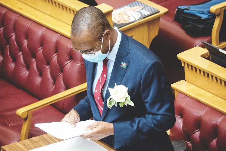 Shiimi's 'stepchildren' - The Namibian