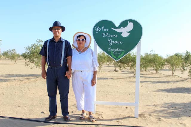 Finding closure through olives - The Namibian