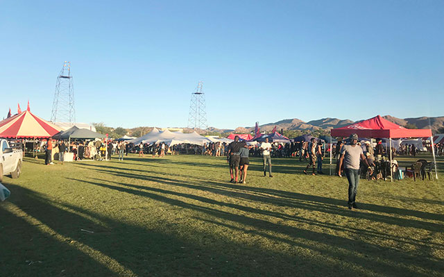 Windhoek Pop-Up Festival organisers speak up - The Namibian