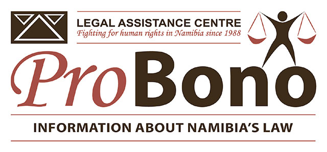 Pro Bono: Election Day – Persons and procedures - The Namibian