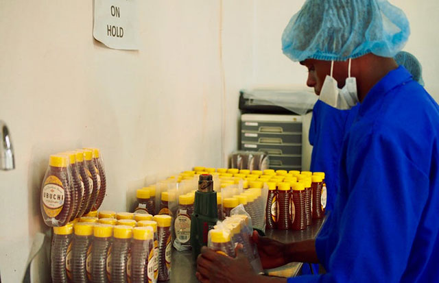 Nearly 500 SMEs seek loans during pandemic - The Namibian