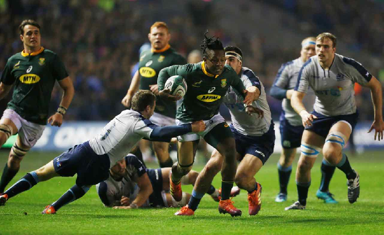 Pollard stars as South Africa down Scotland at Murrayfield - The Namibian