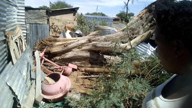Strong winds damage Windhoek shacks - The Namibian