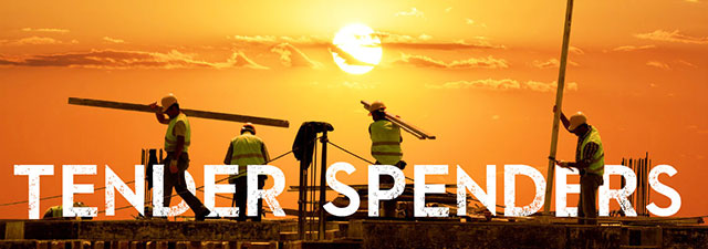 Tender spenders ... Etosha fencing tender opens - The Namibian