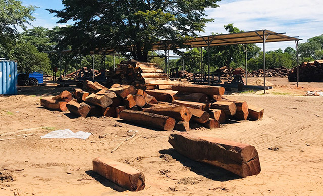 Timber back on the table for locals - The Namibian