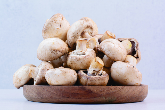 Microbiologists start a mushroom business - The Namibian