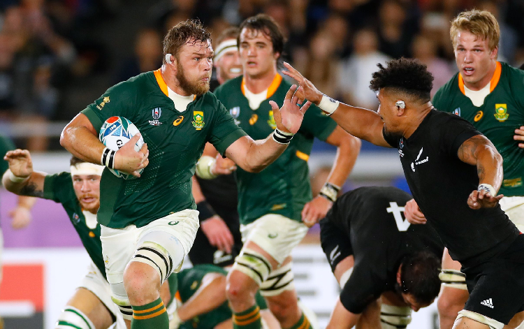 Springbok Vermeulen wins top SA award - The Namibian