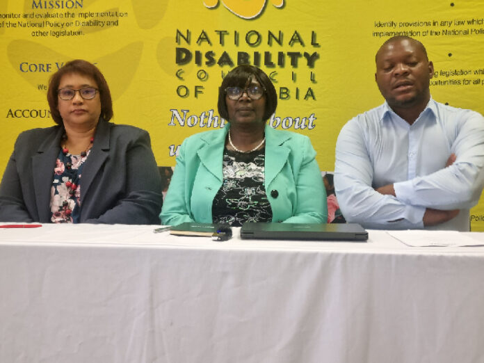 Disability council appoints new CEO - The Namibian
