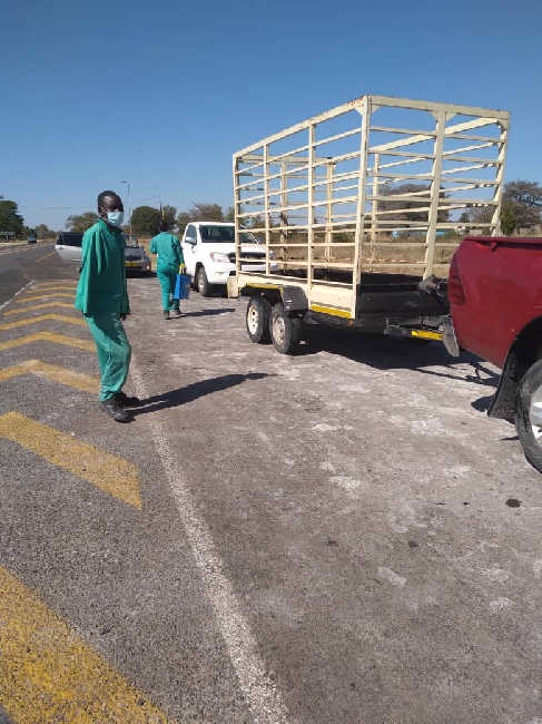 FMD restrictions partially lifted - The Namibian