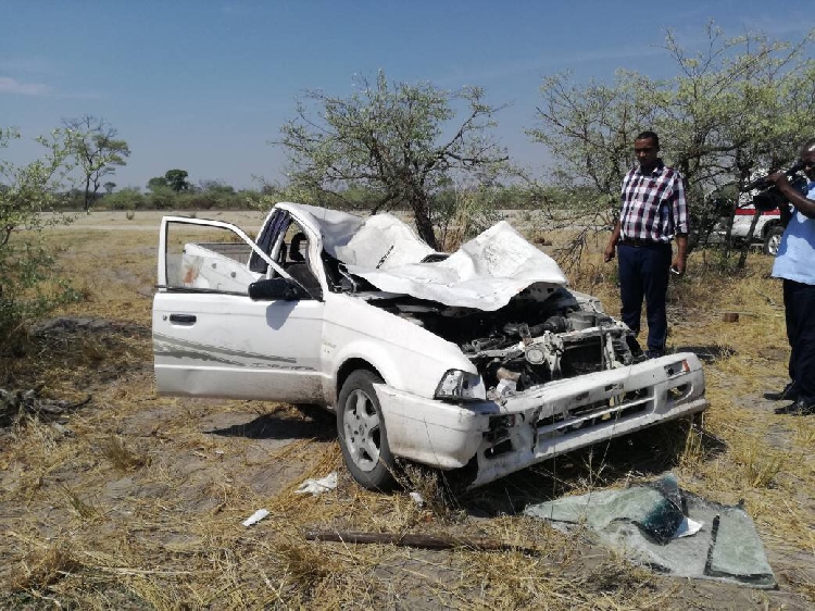 Two dead in elephant crash - The Namibian