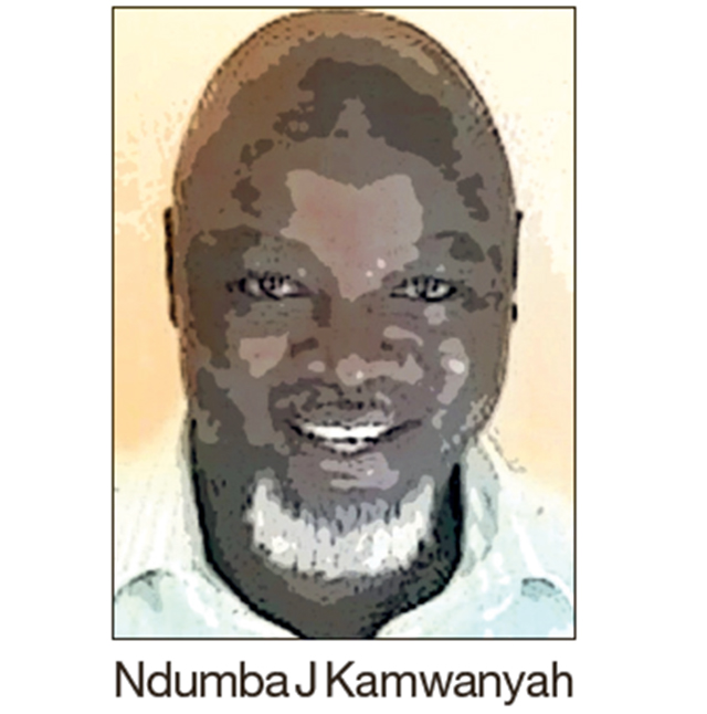 Classroom Under The Mupanda Tree - The Namibian