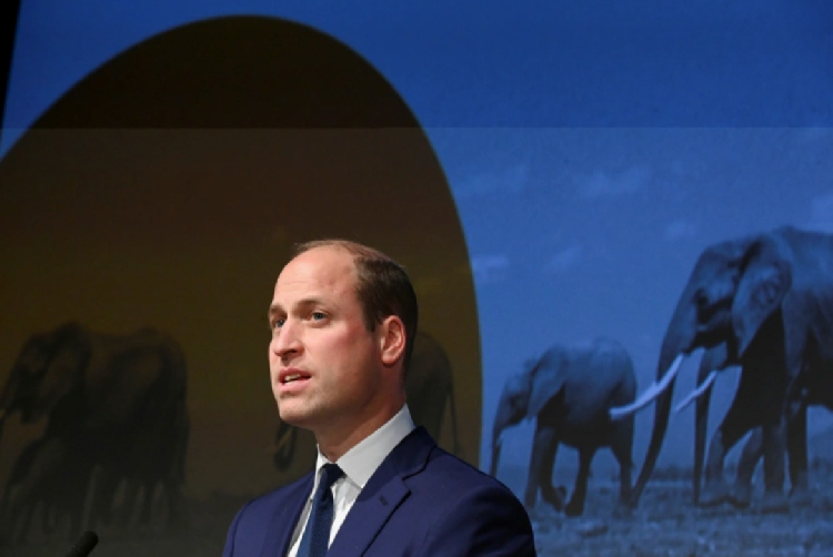 Prince William slammed over Africa population growth remarks - The Namibian
