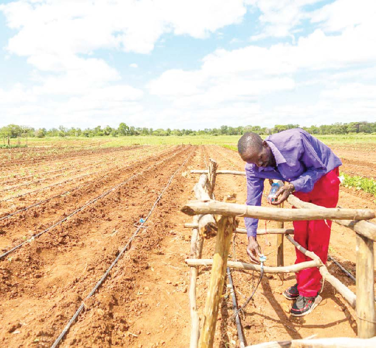 Transforming agribusinesses into generational enterprises - The Namibian