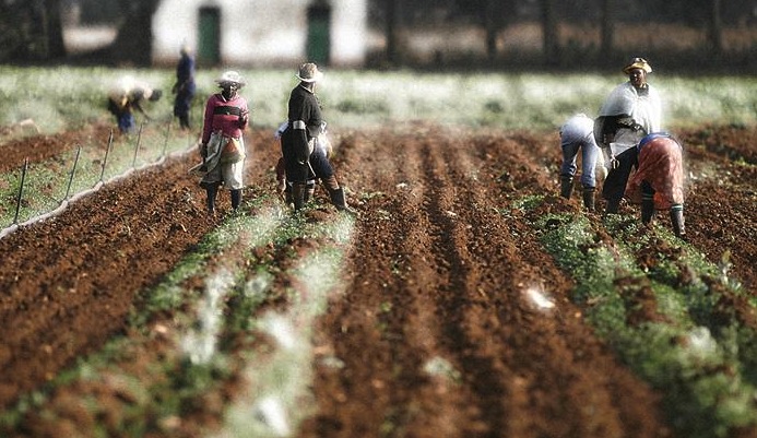 South African parliament passes land expropriation bill - The Namibian