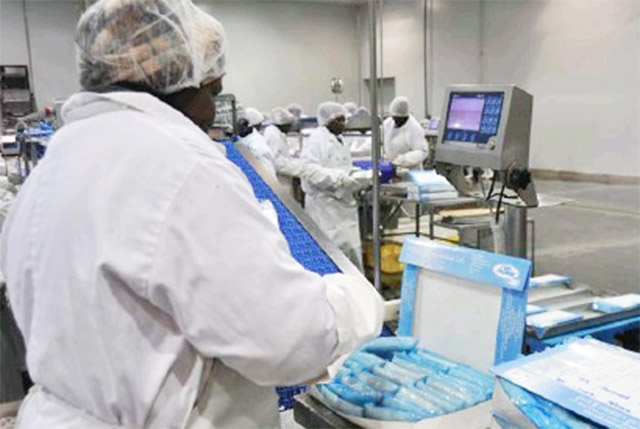 Seven employees of Seaflower hospitalised for gas inhalation - The Namibian