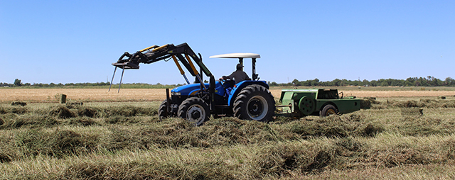 Hardap irrigation cuts spark panic - The Namibian