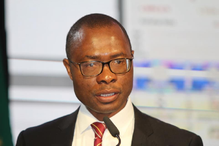 Tate Shiimi's N$8 Billion Dollar Mirage - The Namibian
