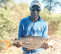 Botswana subpoenas Namibians for Nchindo inquest - The Namibian