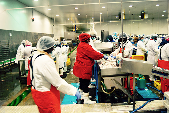 Seaflower Whitefish auctions off more hake freezer quota - The Namibian