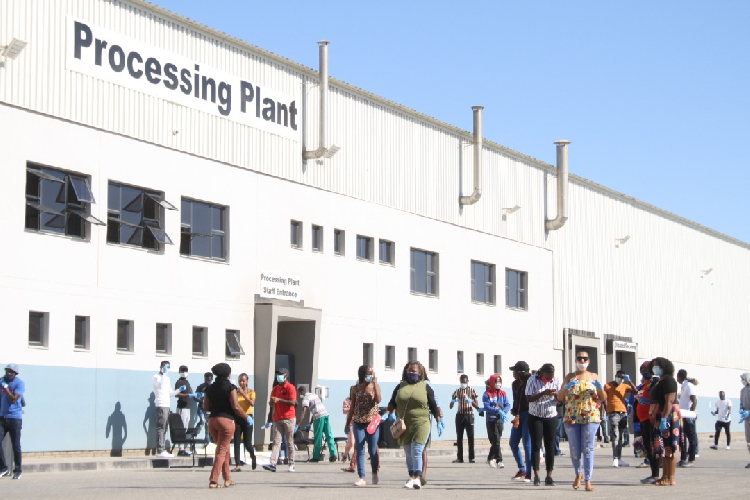 Fishcor blamed for 300 jobless workers - The Namibian