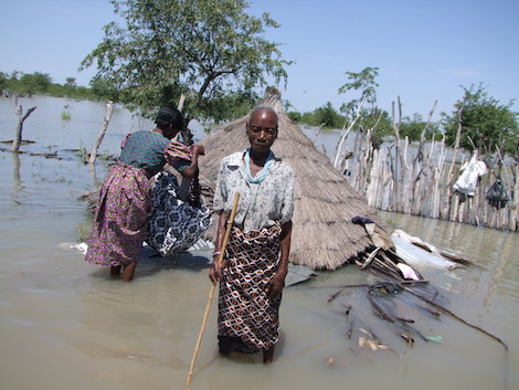 Homes in Epalela area flooded - The Namibian