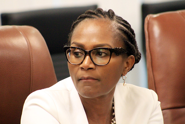 Board blames Govt for TransNamib failures - The Namibian