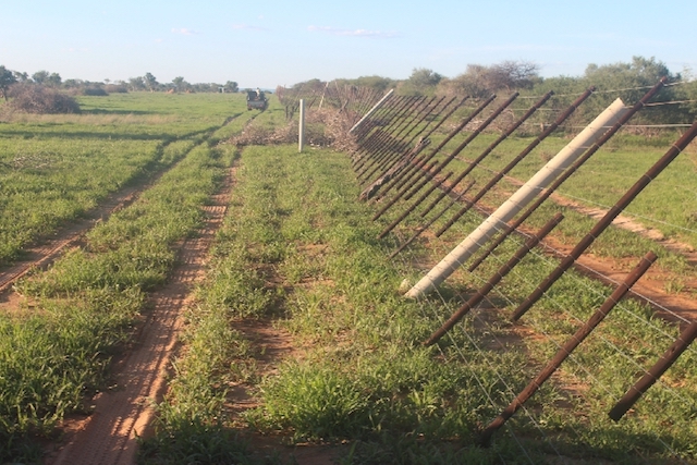Govt offered 469 farms - The Namibian