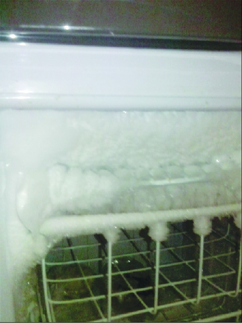 Trauma after buying a fridge ...Beares leaves customer peeved at poor ...