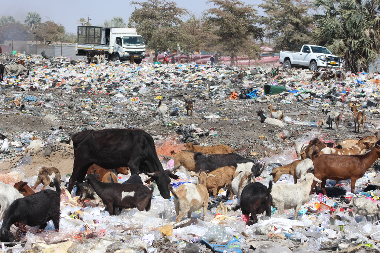 Helao Nafidi Town to move problematic dumpsite - The Namibian