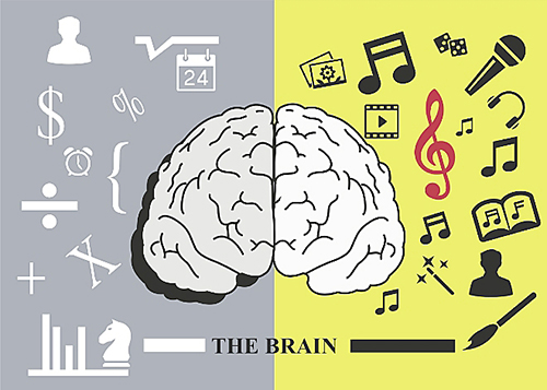 Using Brain Profiling for an Accurate Career Choice - The Namibian