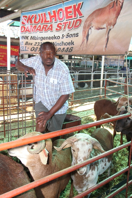 More new exhibitors at this year's Windhoek Show - The Namibian