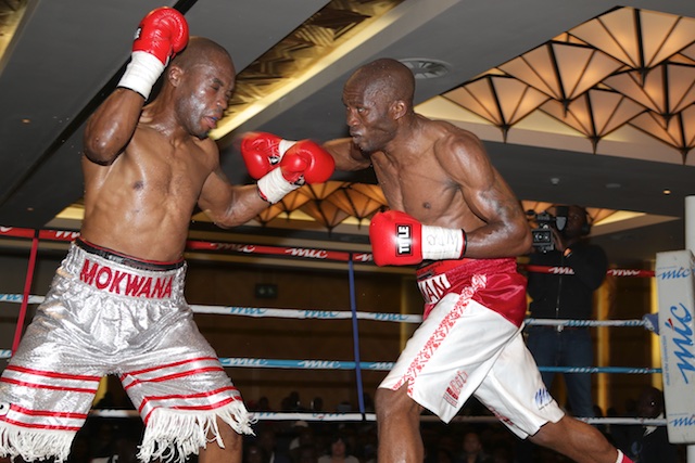 Officials appointed for 'Champions in Action' - The Namibian