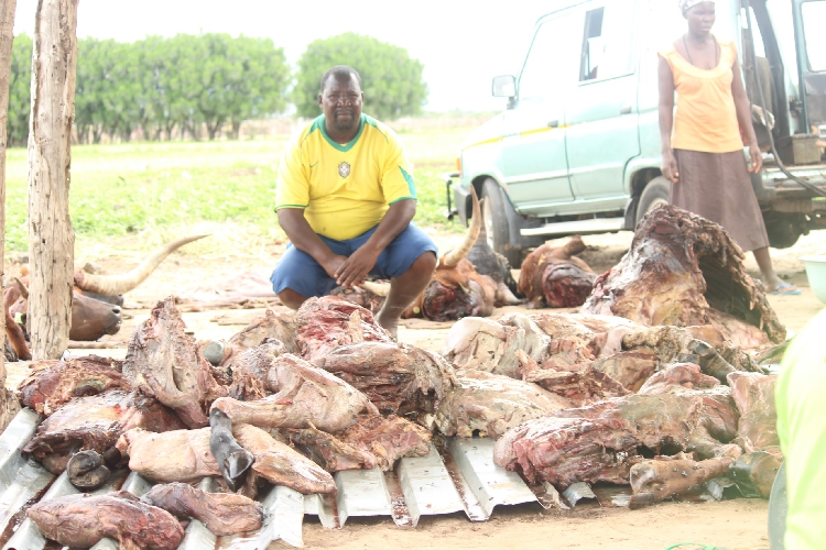 Kavango West farmer loses cattle to lightning - The Namibian