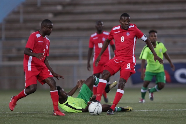 Stars relish African safari - The Namibian