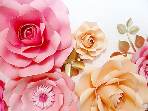 Flower Springspiration - The Namibian