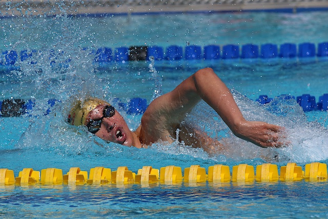 Champion swimmers back in action - The Namibian