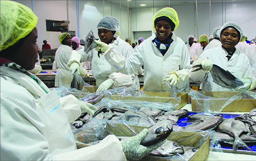 Horse mackerel quota saved Fishcor – Esau - The Namibian