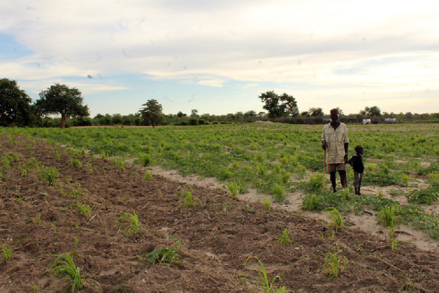 Food shortages to hit some households - The Namibian