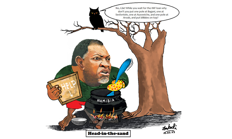 Head in the sand - The Namibian