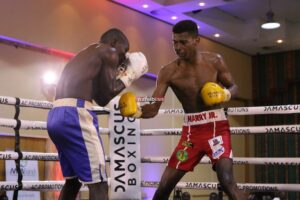 Danny Boy accepts Simon Jr challenge - Sport - The Namibian