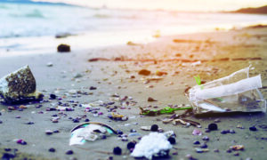 Plastic pollution of Namibian ocean minimal – ministry - The Namibian