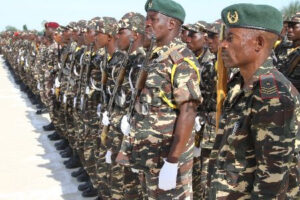 Army to recruit about 1 600 new members - More Top Stories 3 - The Namibian