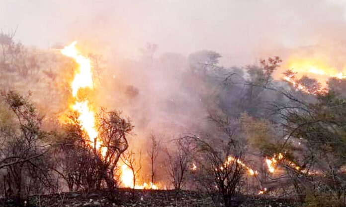 Veld fires consume over five million hectares - News - The Namibian